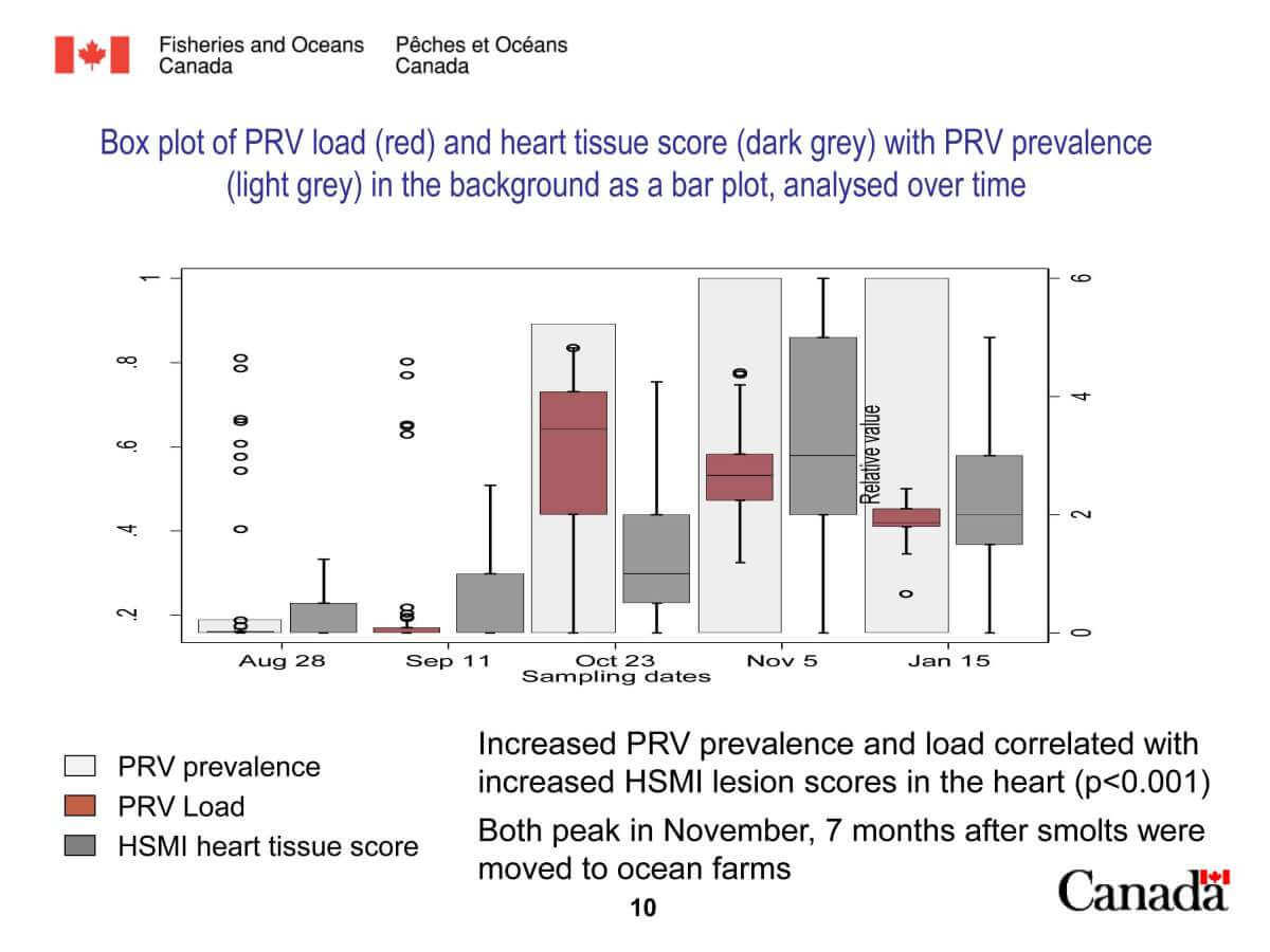 Discovery of HSMI on BC Salmon Farm | Pacific Salmon Foundation
