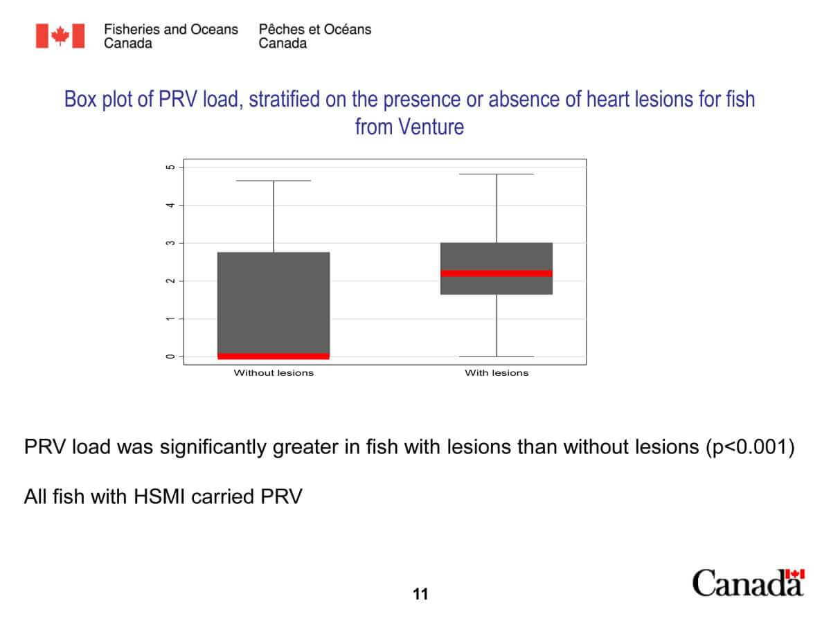Discovery of HSMI on BC Salmon Farm | Pacific Salmon Foundation