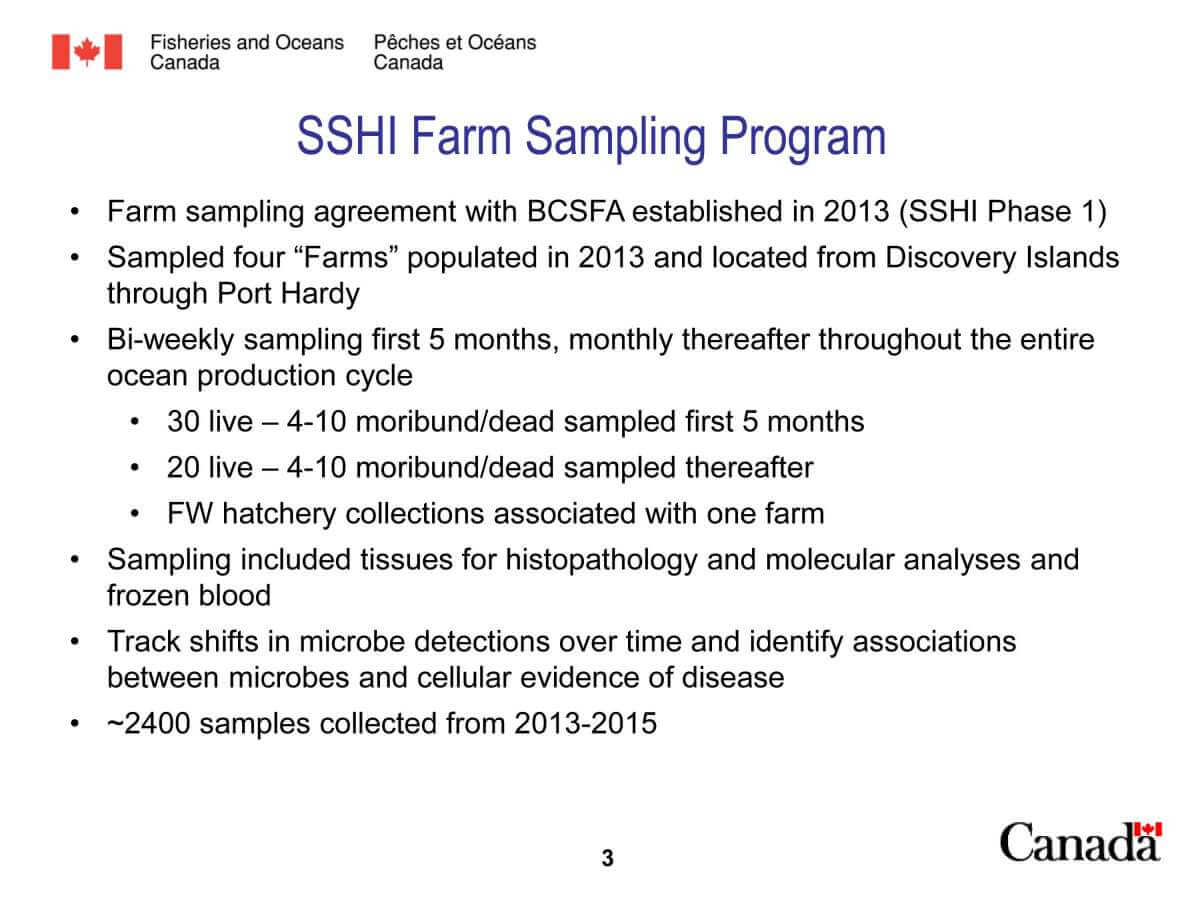 Discovery of HSMI on BC Salmon Farm | Pacific Salmon Foundation