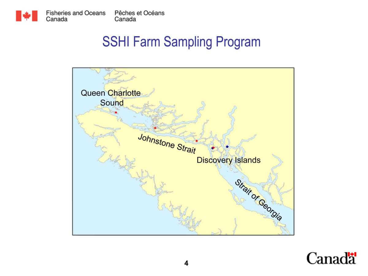 Discovery of HSMI on BC Salmon Farm | Pacific Salmon Foundation