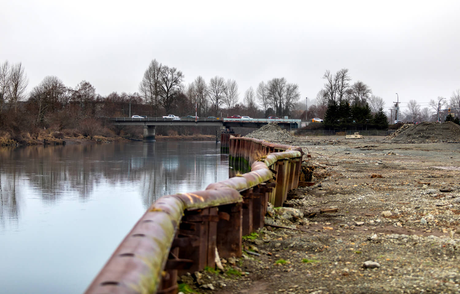Former sawmill transforms into pristine salmon habitat | Pacific Salmon ...