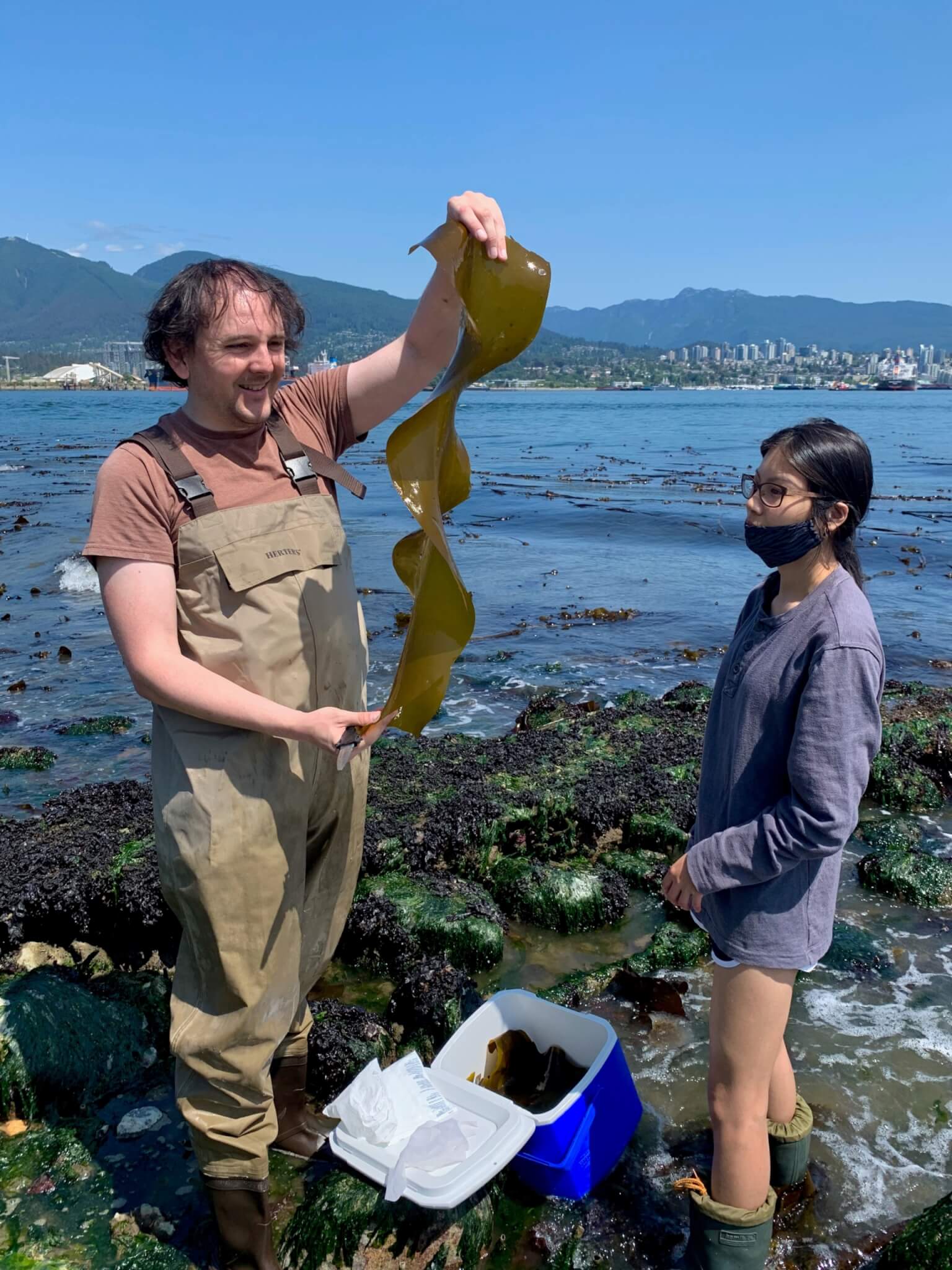 PSF supports SFU-led biobank that aims to save west coast kelp forests ...