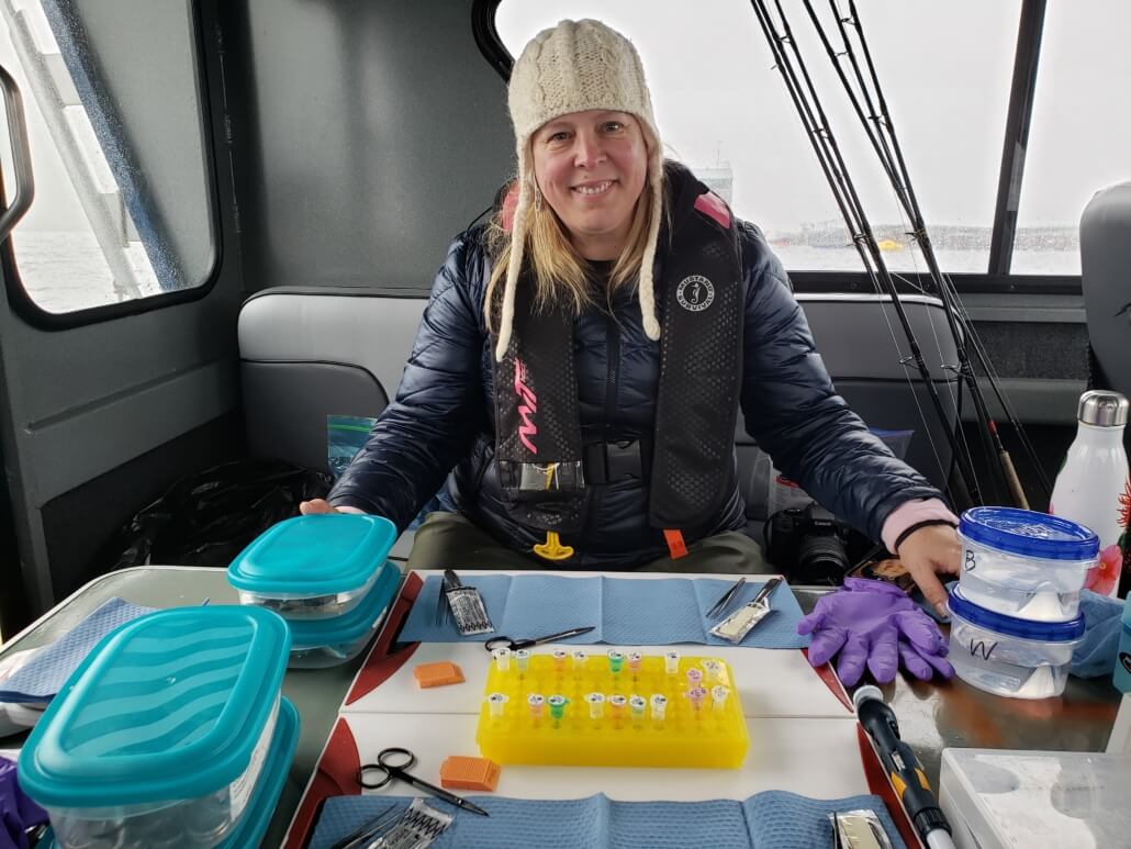 New tools help deliver insights into fish health | Pacific Salmon ...
