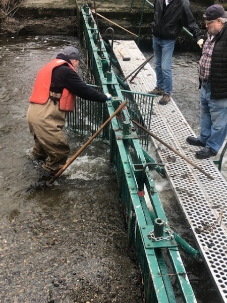 When Disaster Strikes, PSF steps up « Pacific Salmon Foundation
