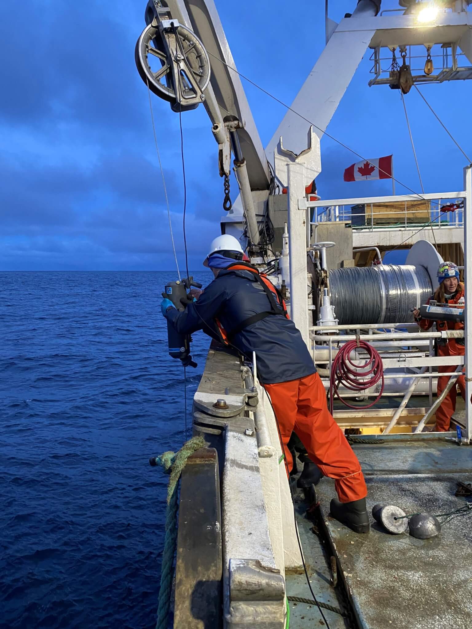 Researchers use e-DNA to fill knowledge gaps in the Salmonosphere ...