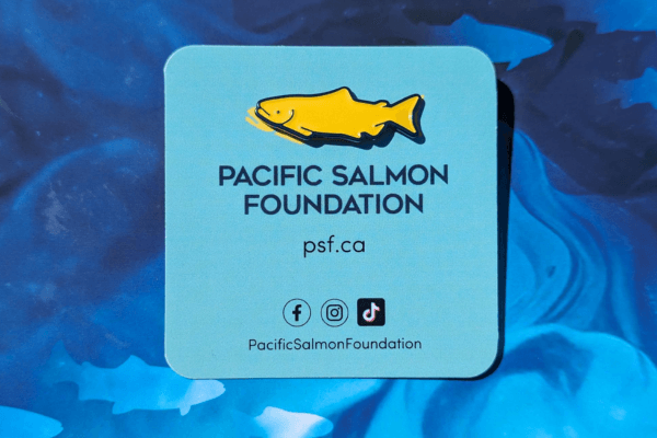 Support game-changing initiatives to help salmon recover! | Pacific Salmon Foundation