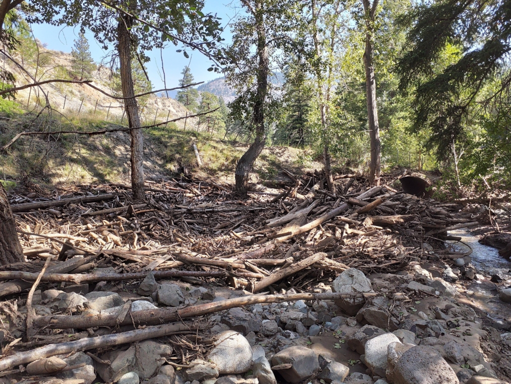 The burning issue: wildfires and salmon | Pacific Salmon Foundation