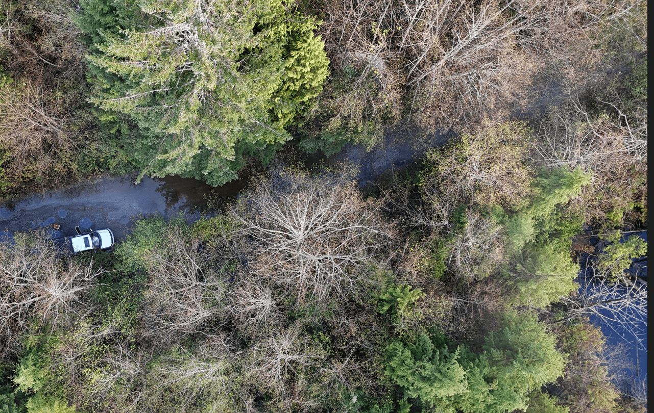 Reconnecting salmon habitat damaged by B.C.’s atmospheric river ...